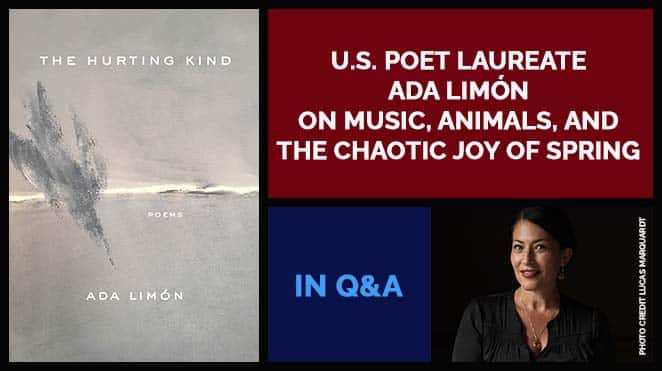 A Celebration of Everything Alive and Whole | Chapter 16