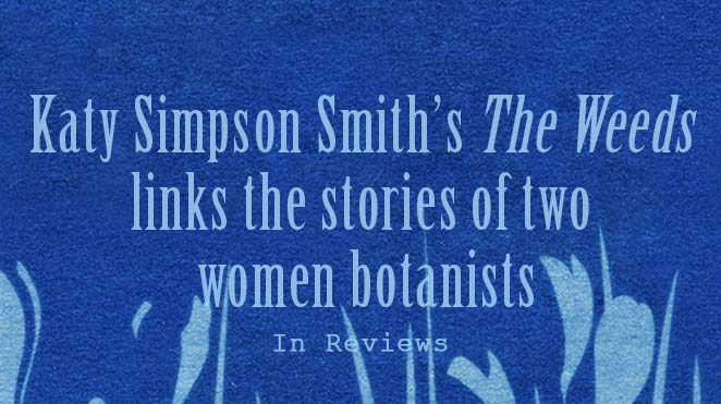 A Part, a Whole, a Root, a Bloom | Chapter 16